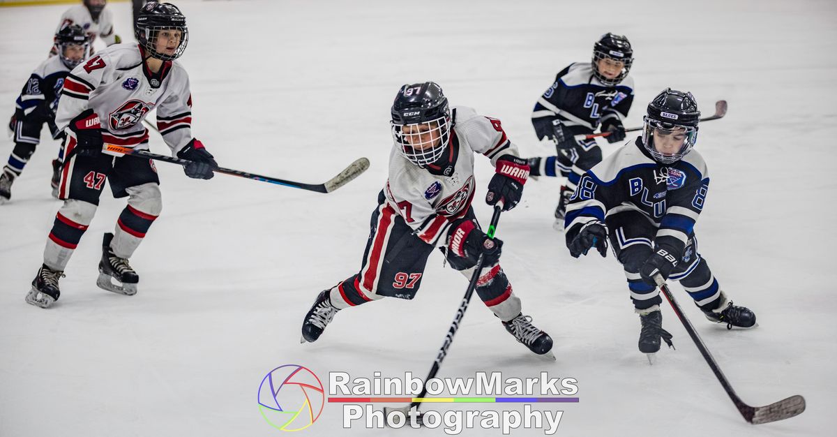 2013 St. Louis Knights Central States Hockey — RainbowMarks Photo